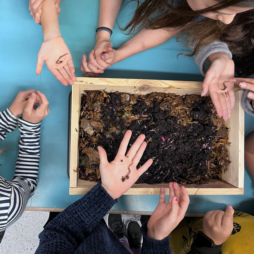 Worm School – The Box Of Life
