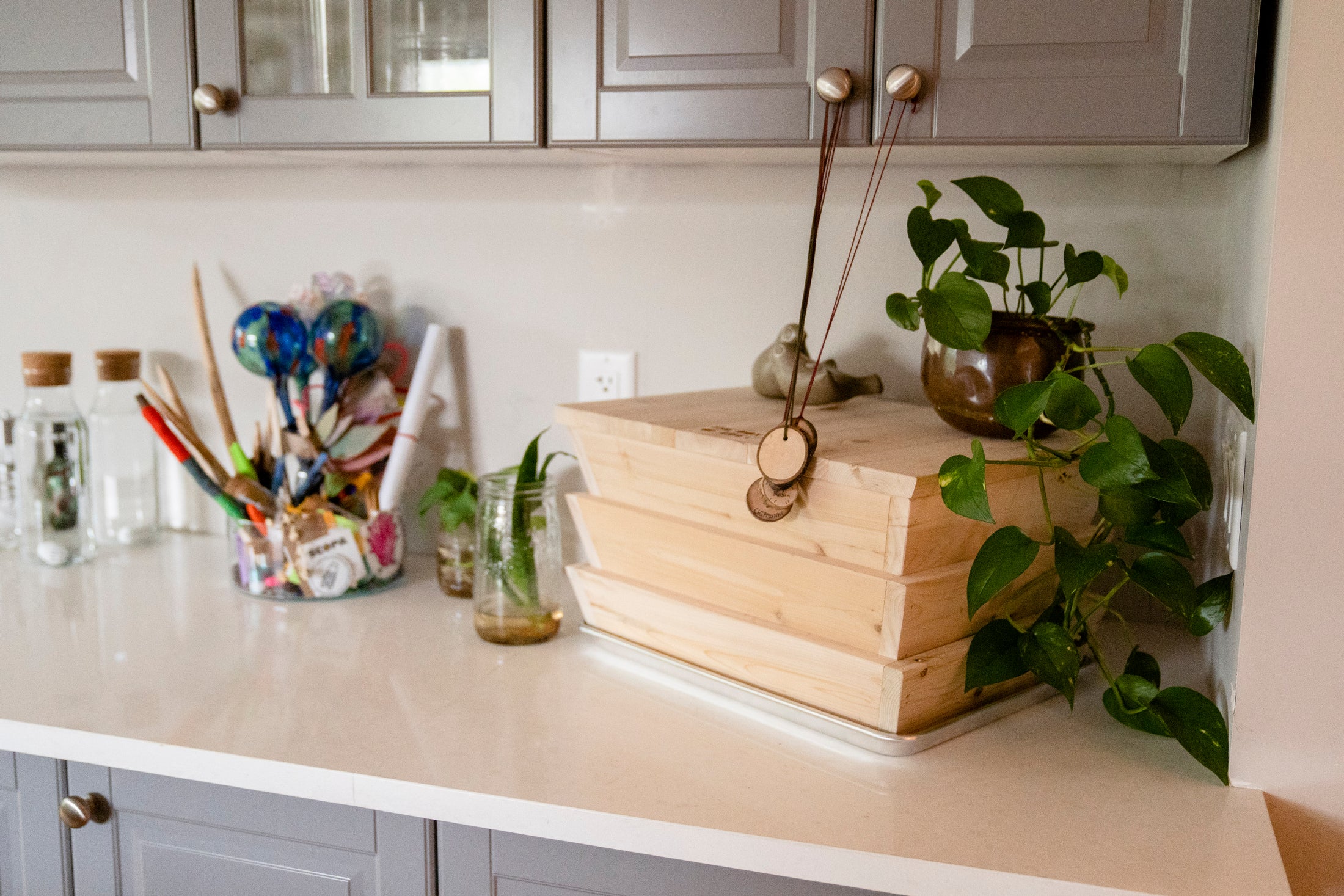 A beautiful, plastic free, cedar worm farm made in Canada – The Box Of Life