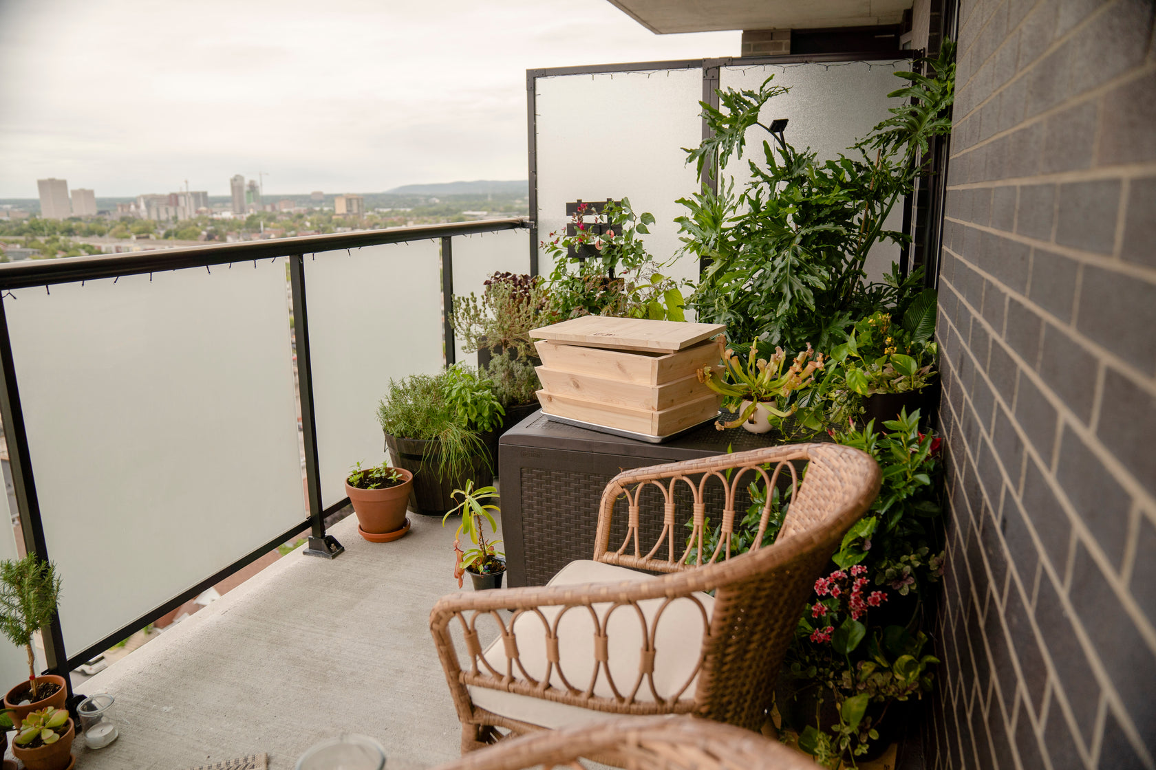 A beautiful, plastic free, cedar worm farm made in Canada – The Box Of Life