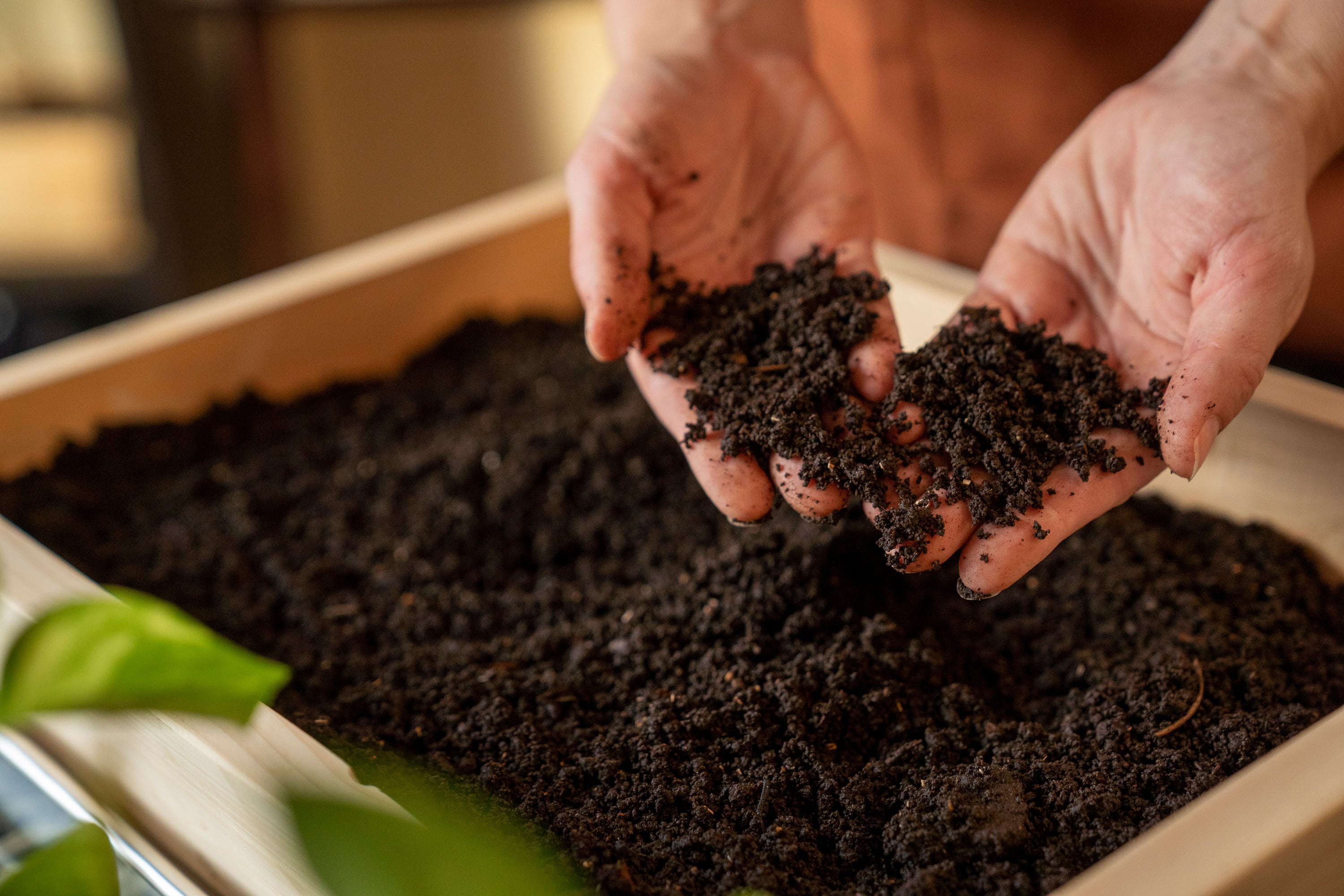 The Box of Life | A Beautiful Composting Solution – The Box Of Life