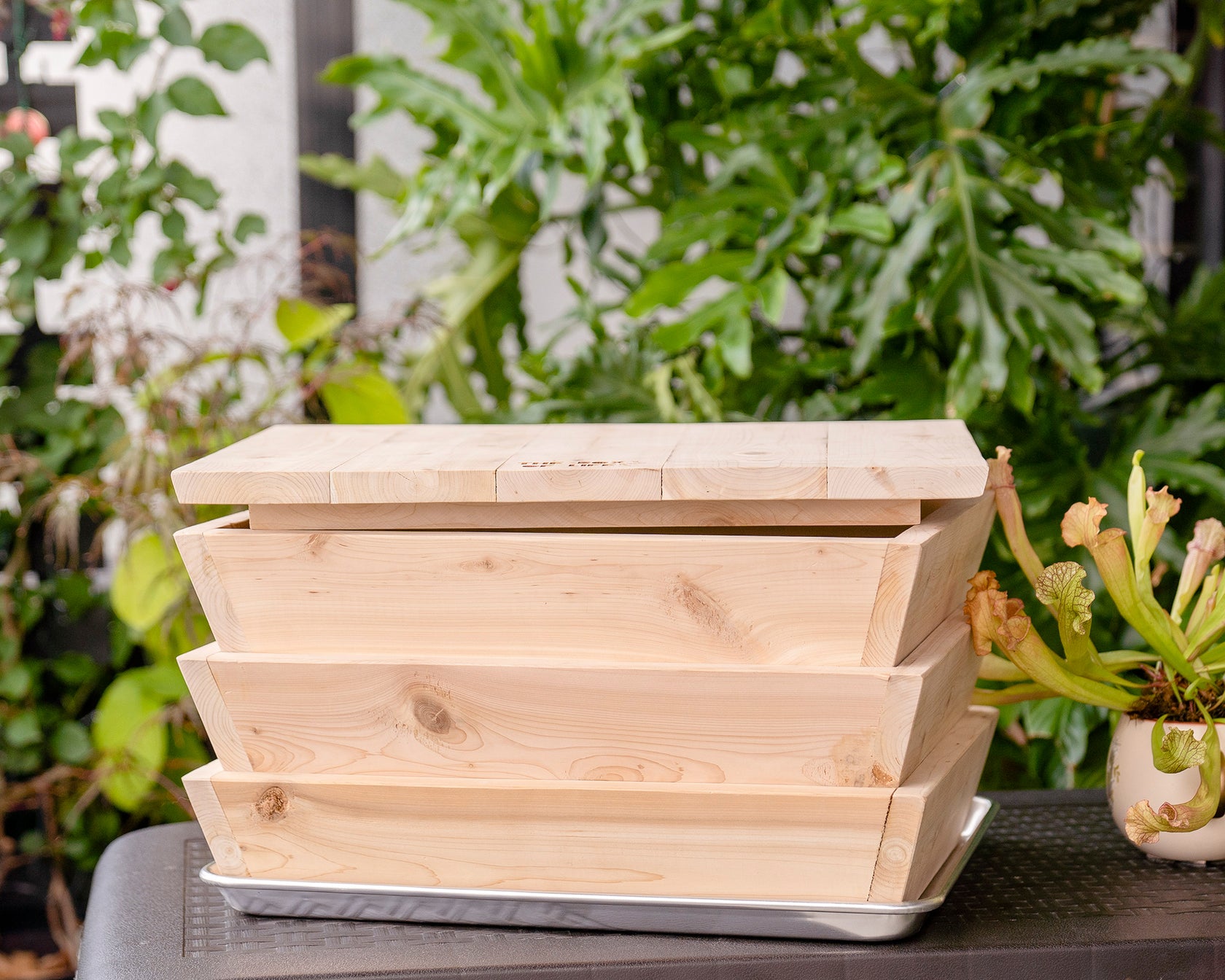 A beautiful, plastic free, cedar worm farm made in Canada – The Box Of Life