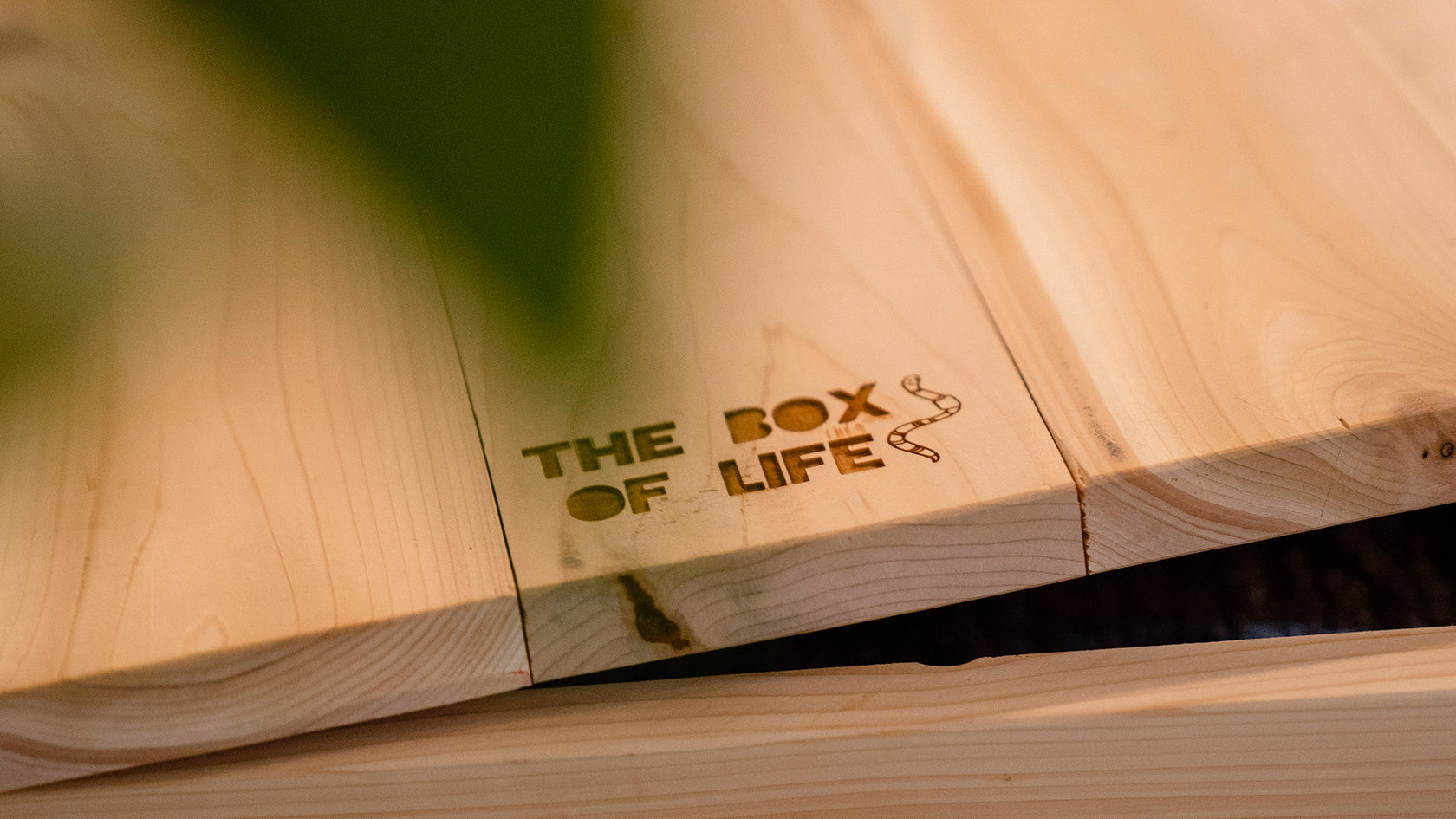 A beautiful, plastic free, cedar worm farm made in Canada – The Box Of Life
