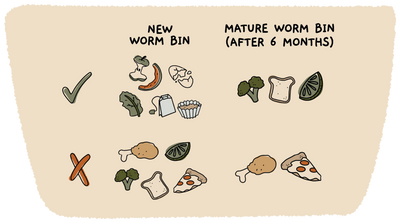 A beautiful, plastic free, cedar worm farm made in Canada – The Box Of Life